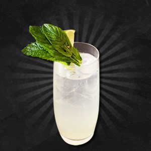 Oceanside Fizz - Gin-Cocktail mit Meersalz und frischer Minze ...